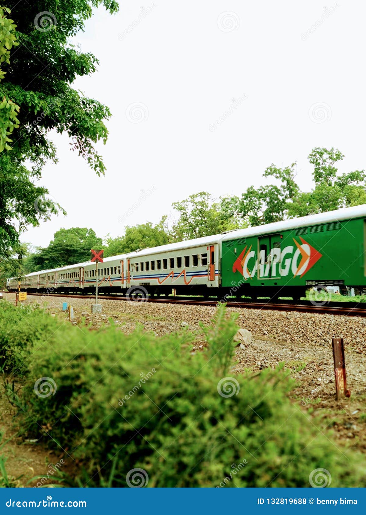 Train stock photo. Image of tropical, interesting, peron - 132819688