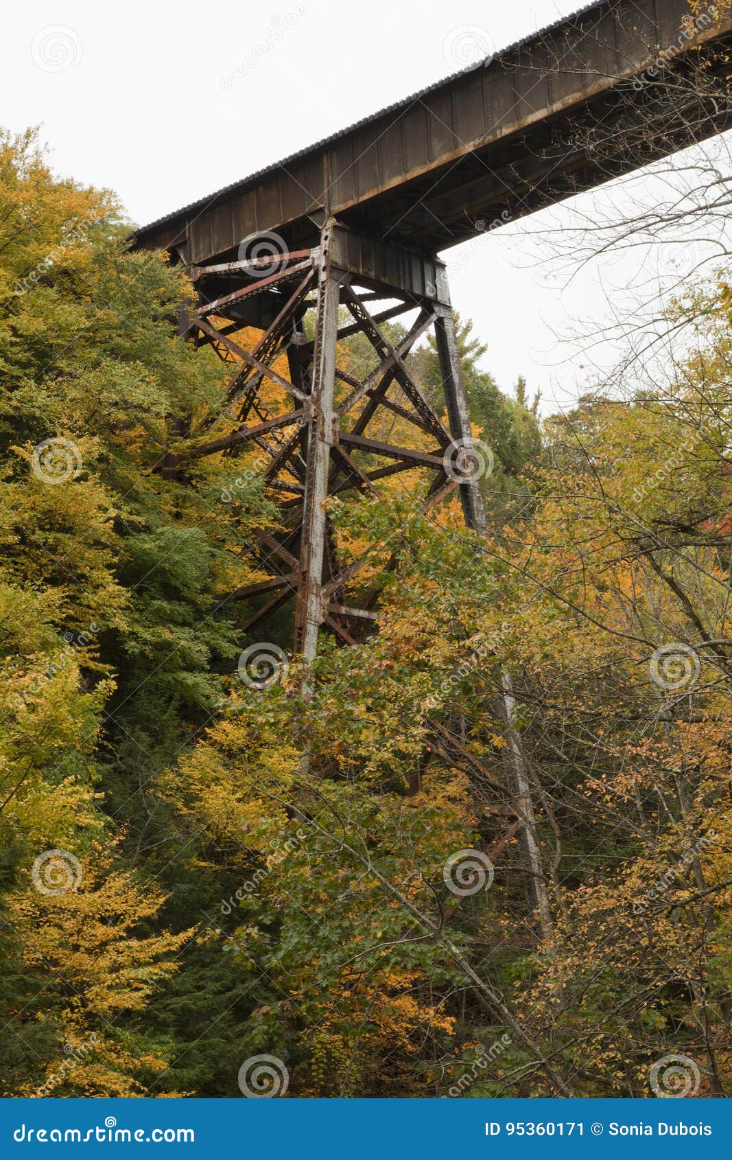 Train overpass stock image. Image of train, trees, forest - 95360171