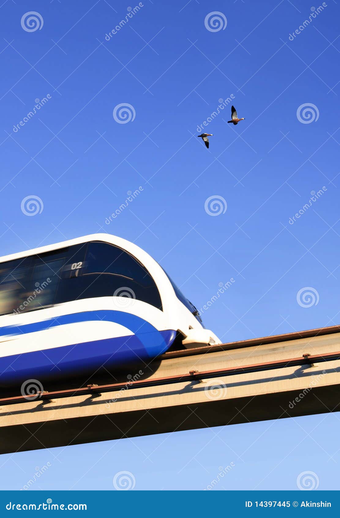 Train Overtakes Flying Birds Stock Image - Image of skyline, progress ...