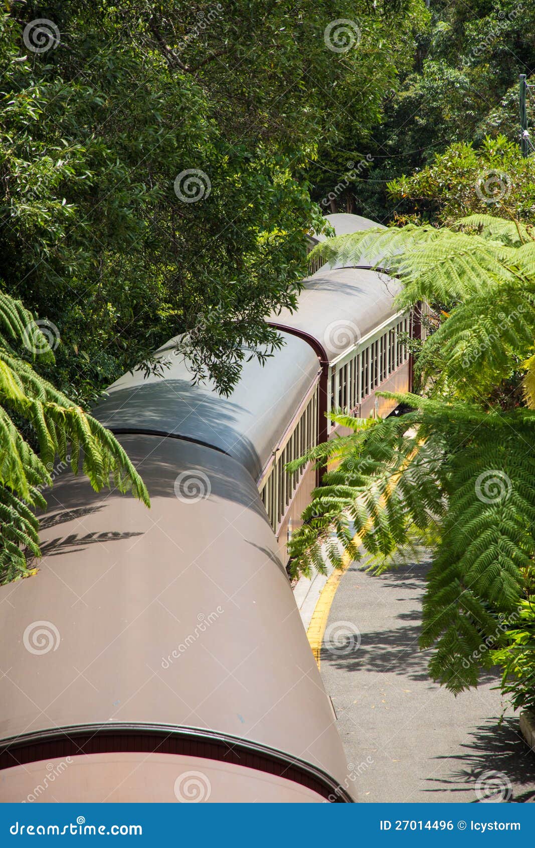 Train Parking in the Forest Stock Photo - Image of peace, kuranda: 27014496