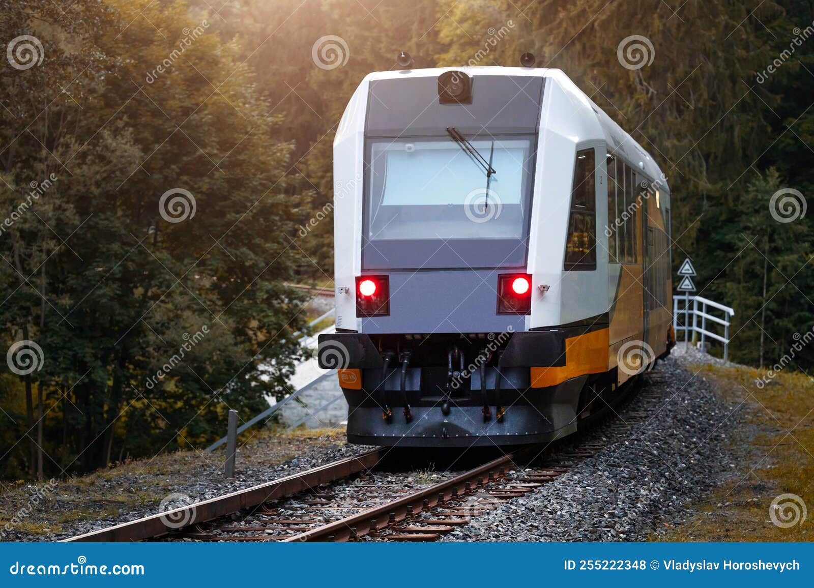 The Train Passes through the Forest, Train Travel Stock Photo - Image ...
