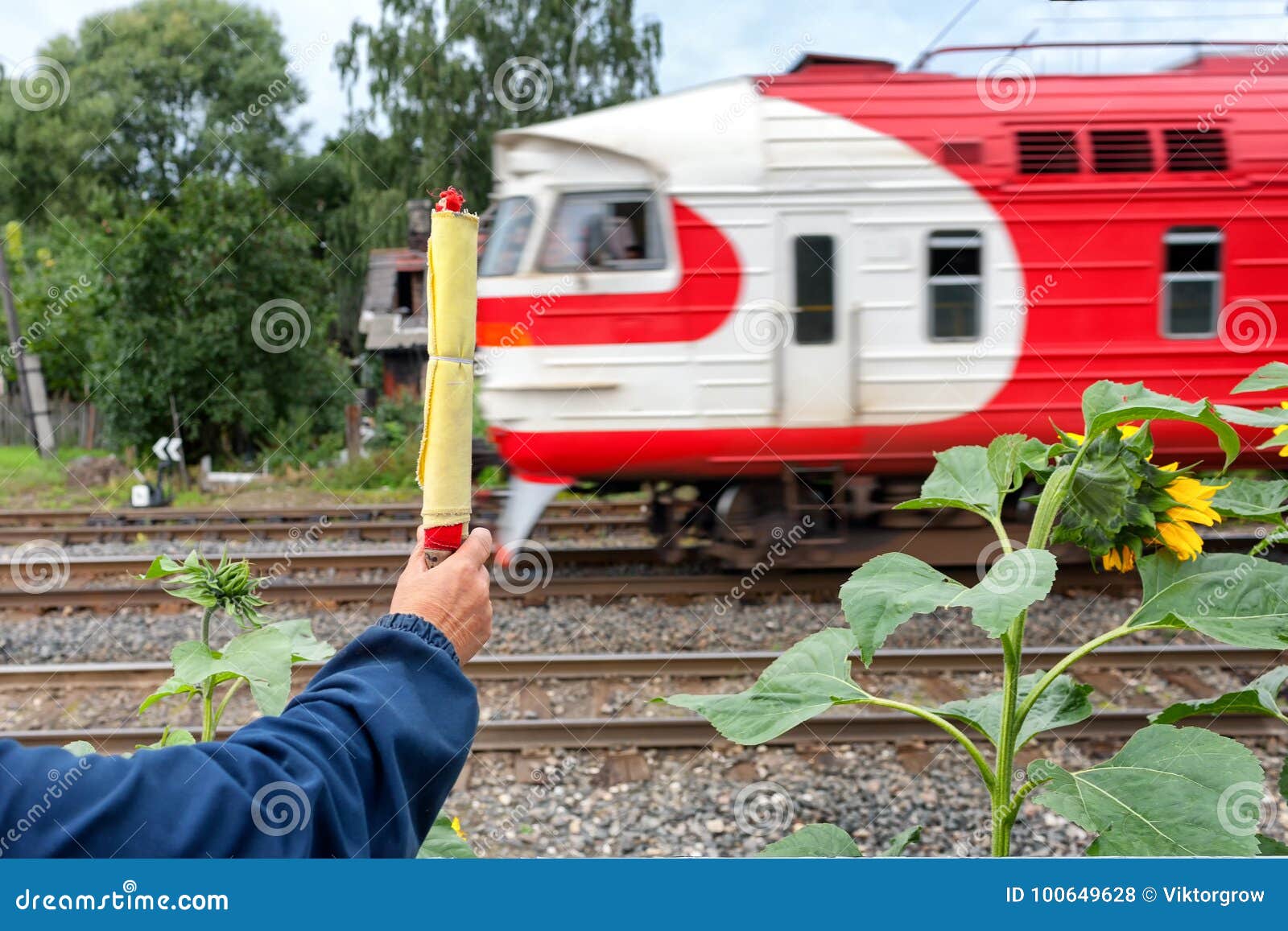 Train on the Move with a Flag Stock Photo - Image of flag, cave: 100649628