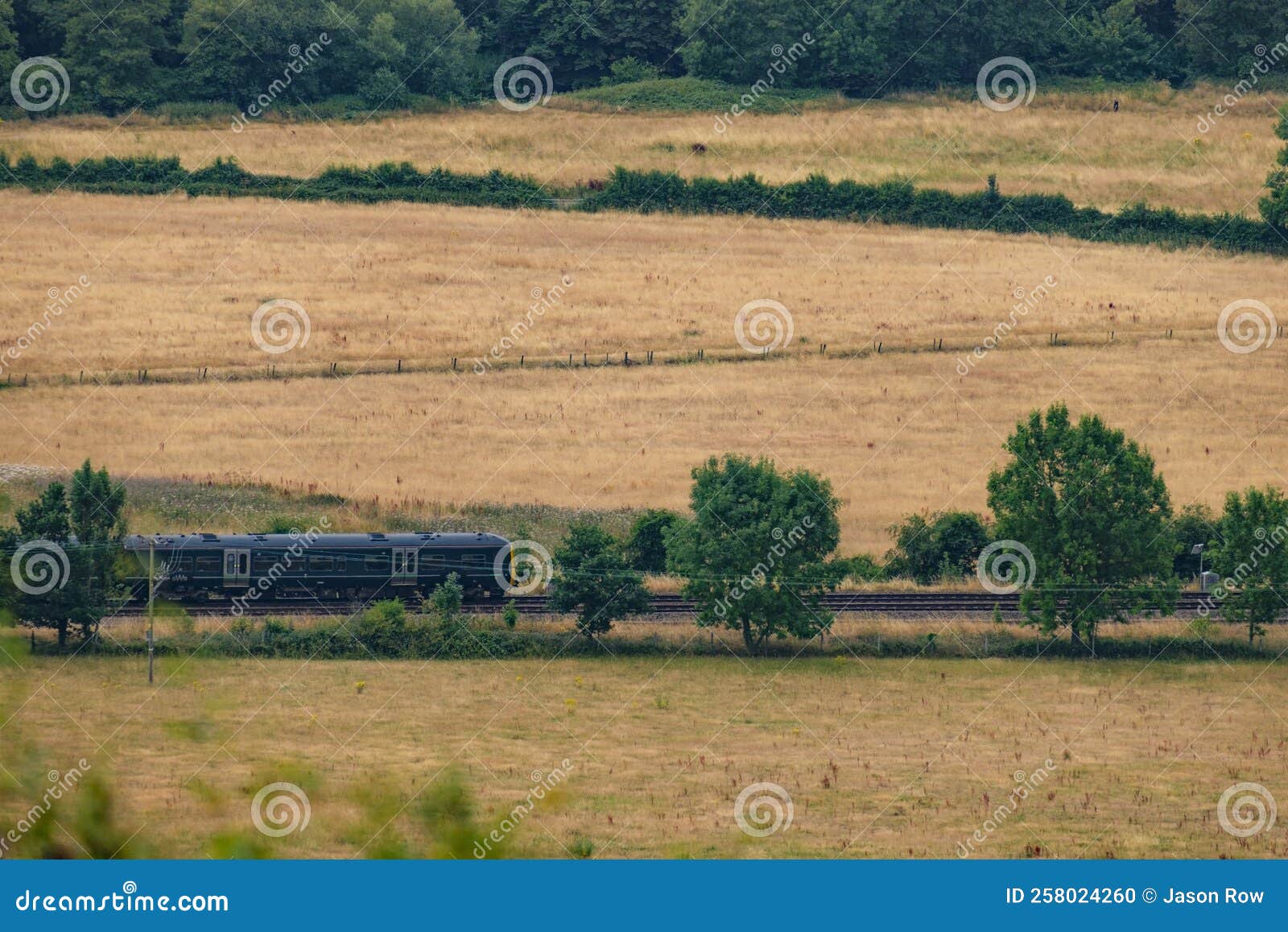 Train Passing Yellow Grass Fields in England Stock Photo - Image of ...
