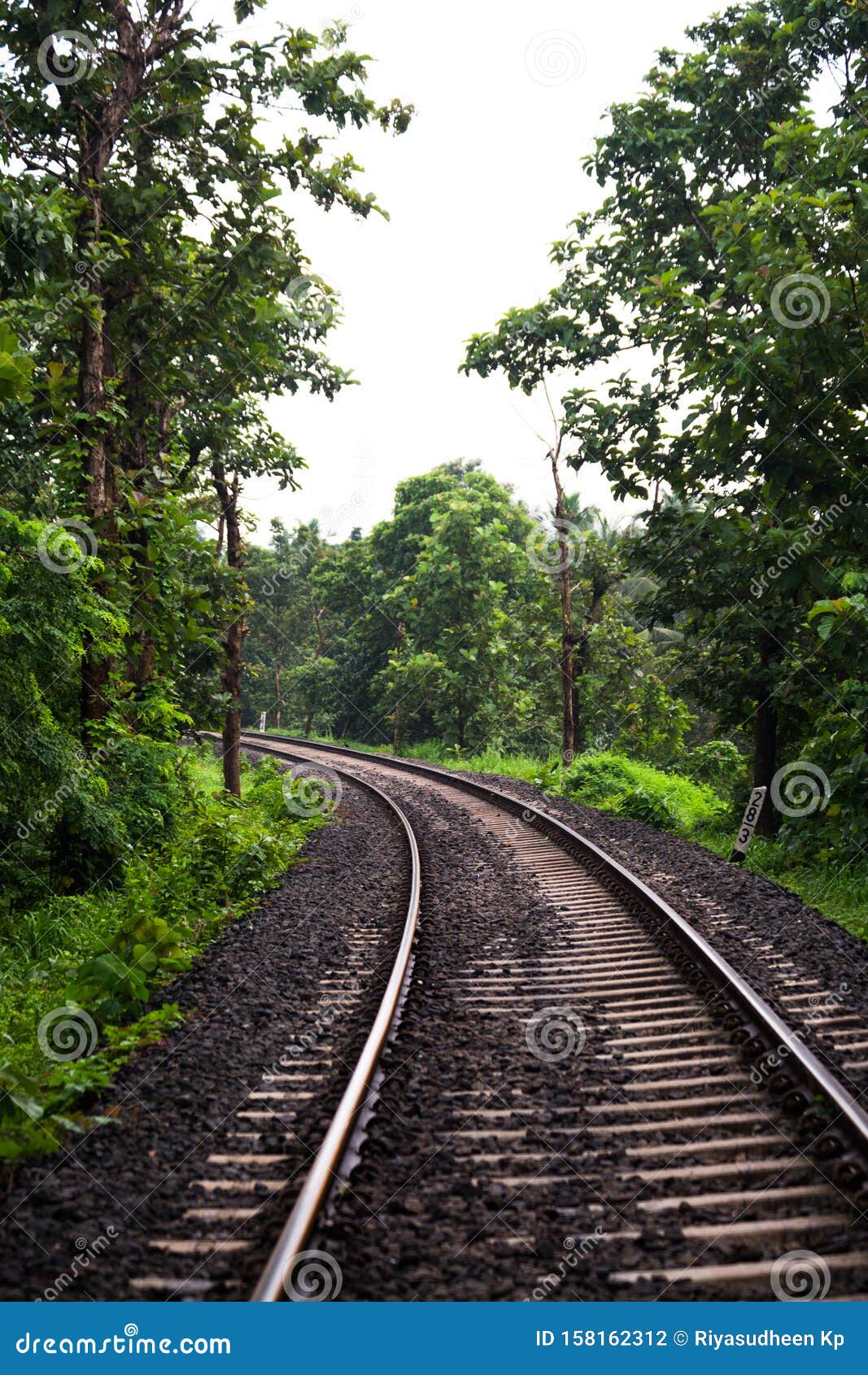 Train Path through the Forest Stock Photo - Image of outdoor, landscape ...