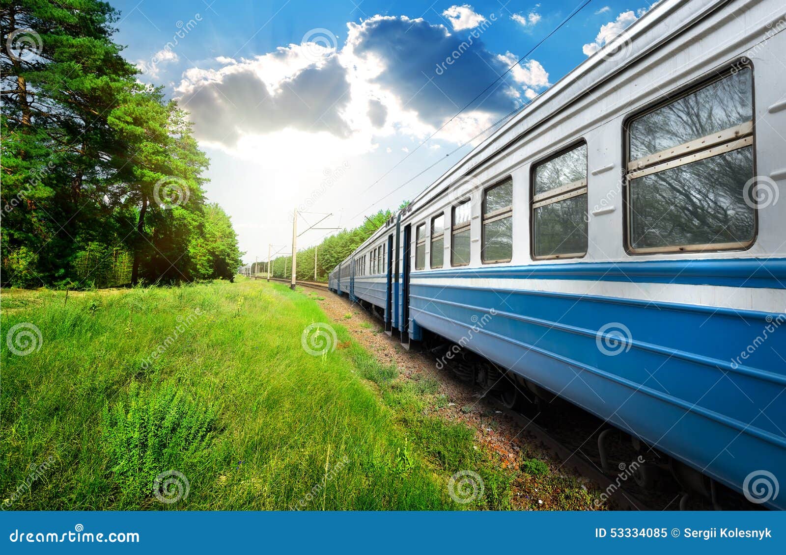Train and pine forest stock image. Image of locomotive - 53334085