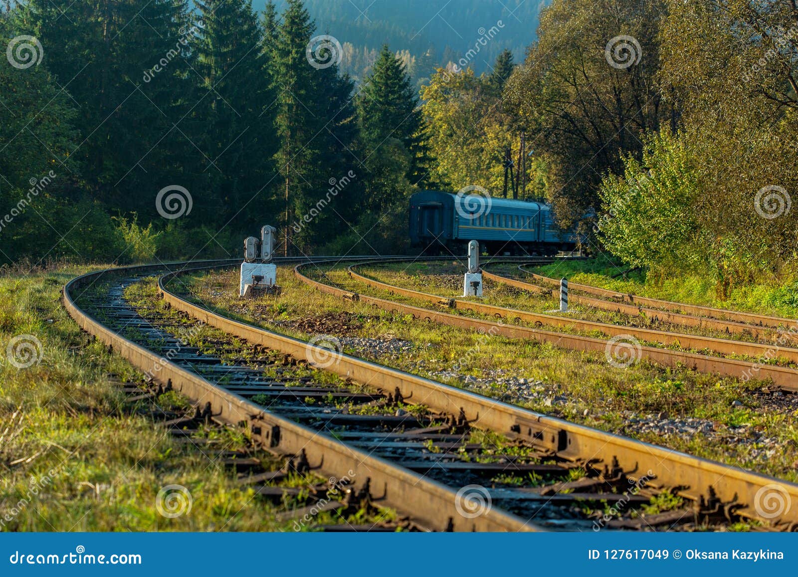 Train on Railroad Tracks in the Forest Stock Image - Image of road ...