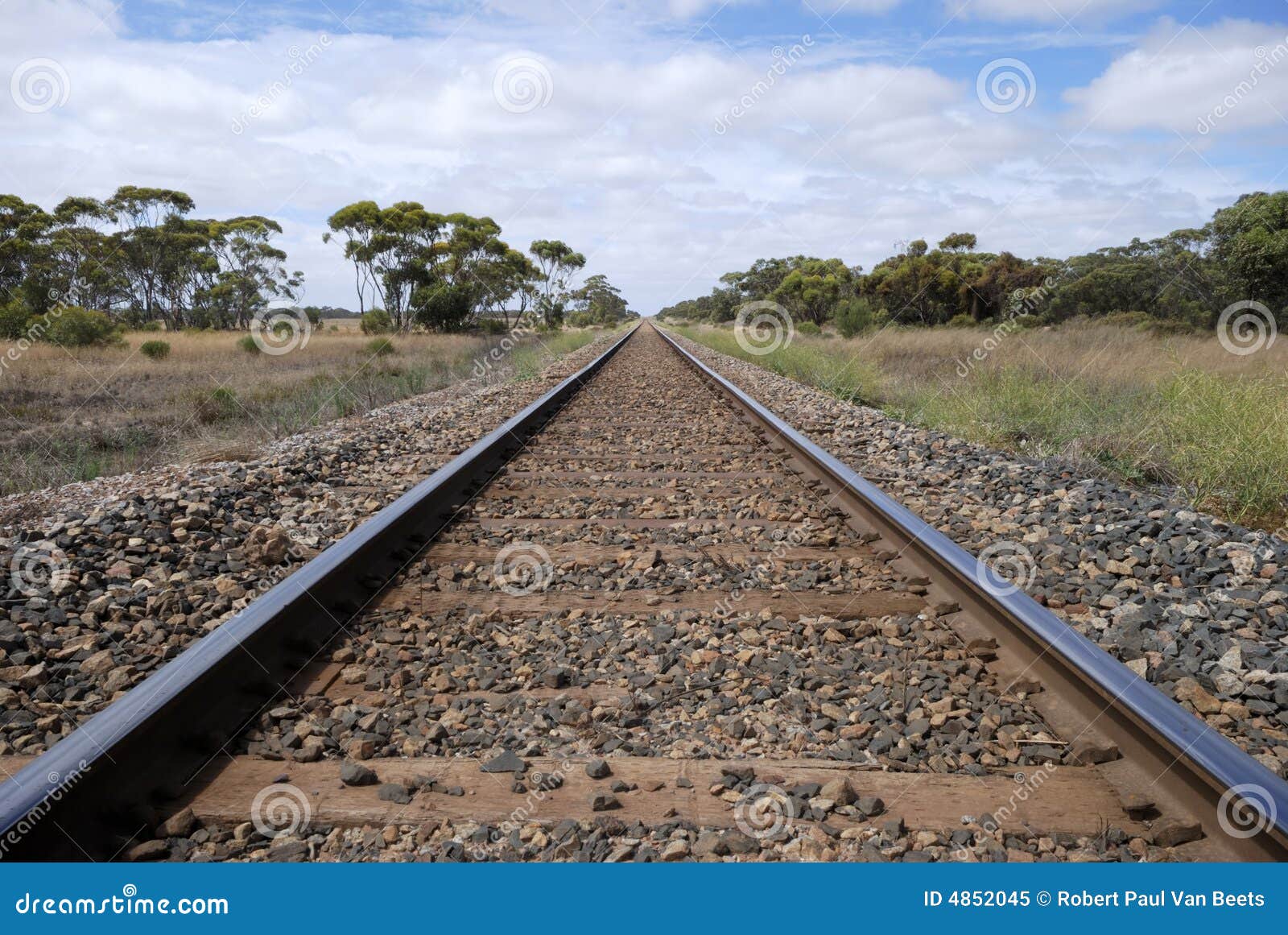 Train Rails, Railway Switch Stock Photo | CartoonDealer.com #40502316