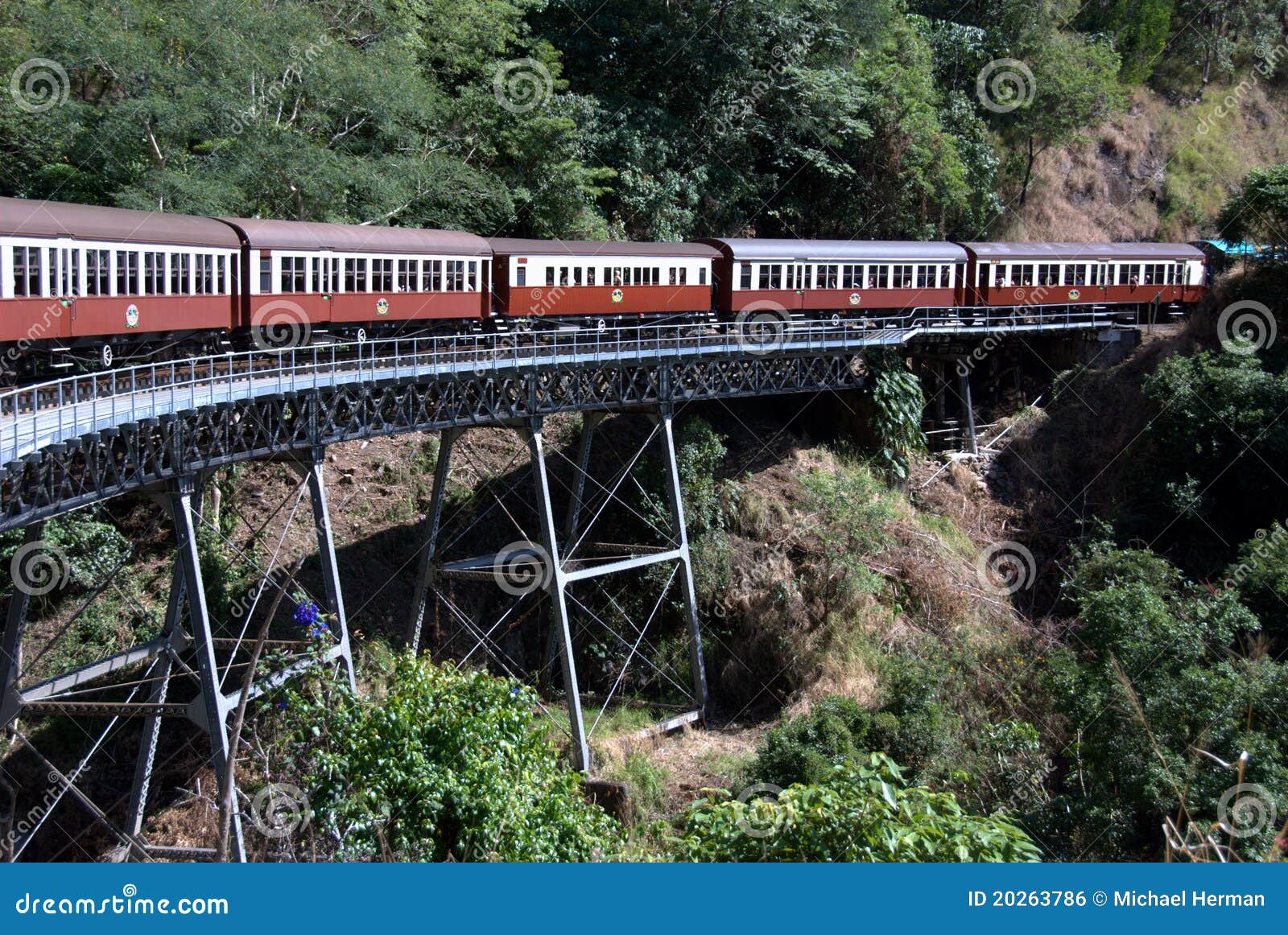 Train on railway bridge stock photo. Image of outdoors - 20263786