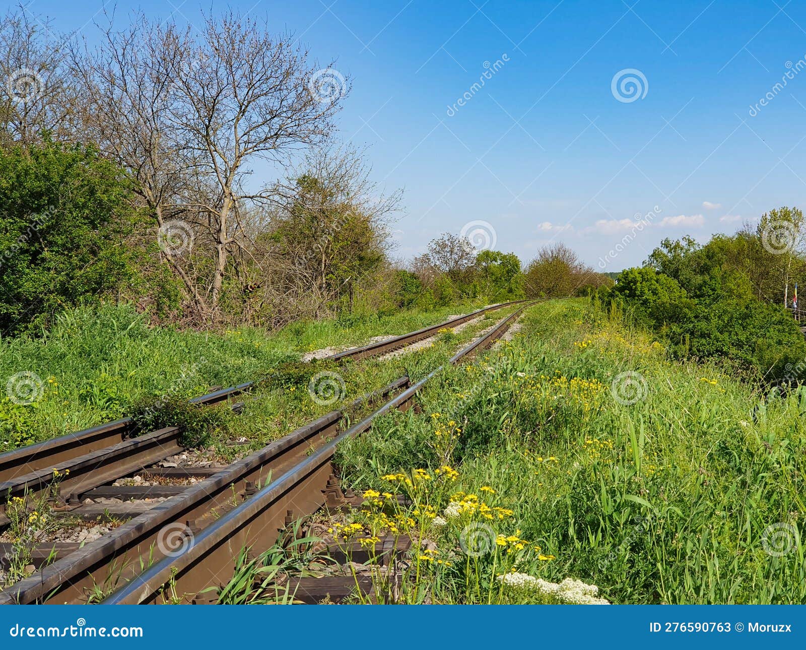 Train railway in nature stock image. Image of nature - 276590763