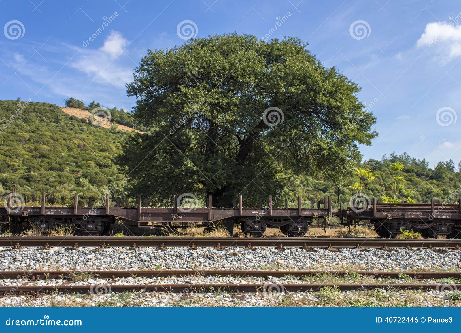 Train railway on nature stock photo. Image of train, track - 40722446