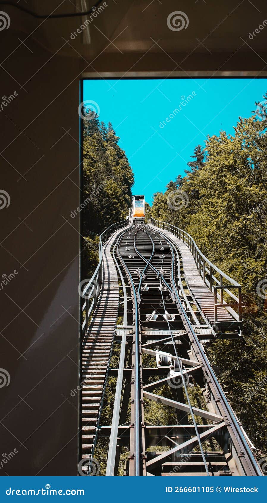 Train Railway Surrounded by Trees Stock Image - Image of line, train ...