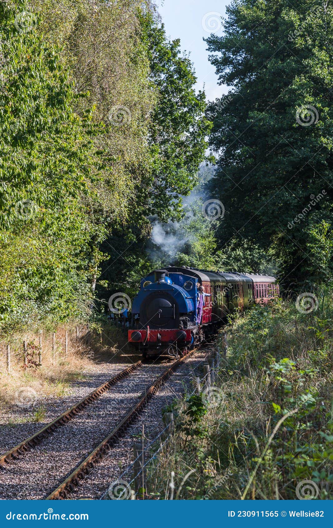 Train on the Ribble Steam Railway Editorial Image - Image of journey ...
