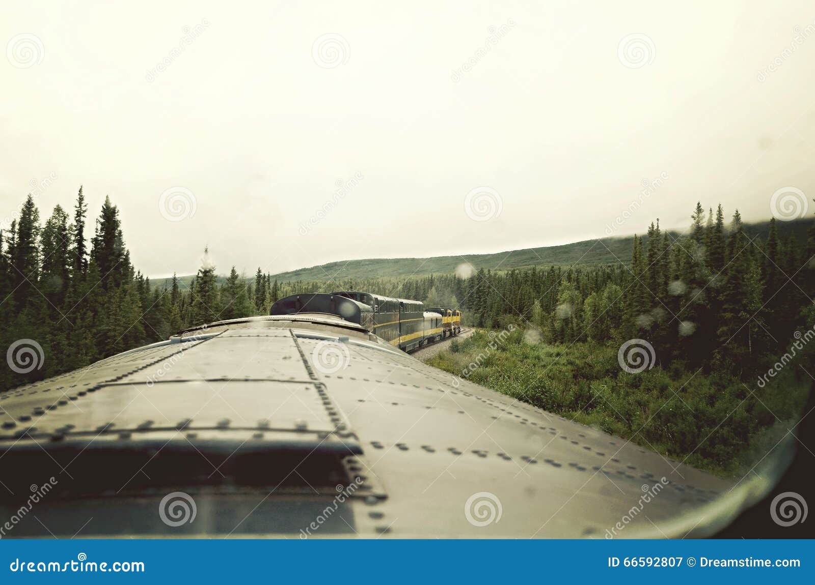 Train Ride through the Forest Stock Image - Image of misty, open: 66592807