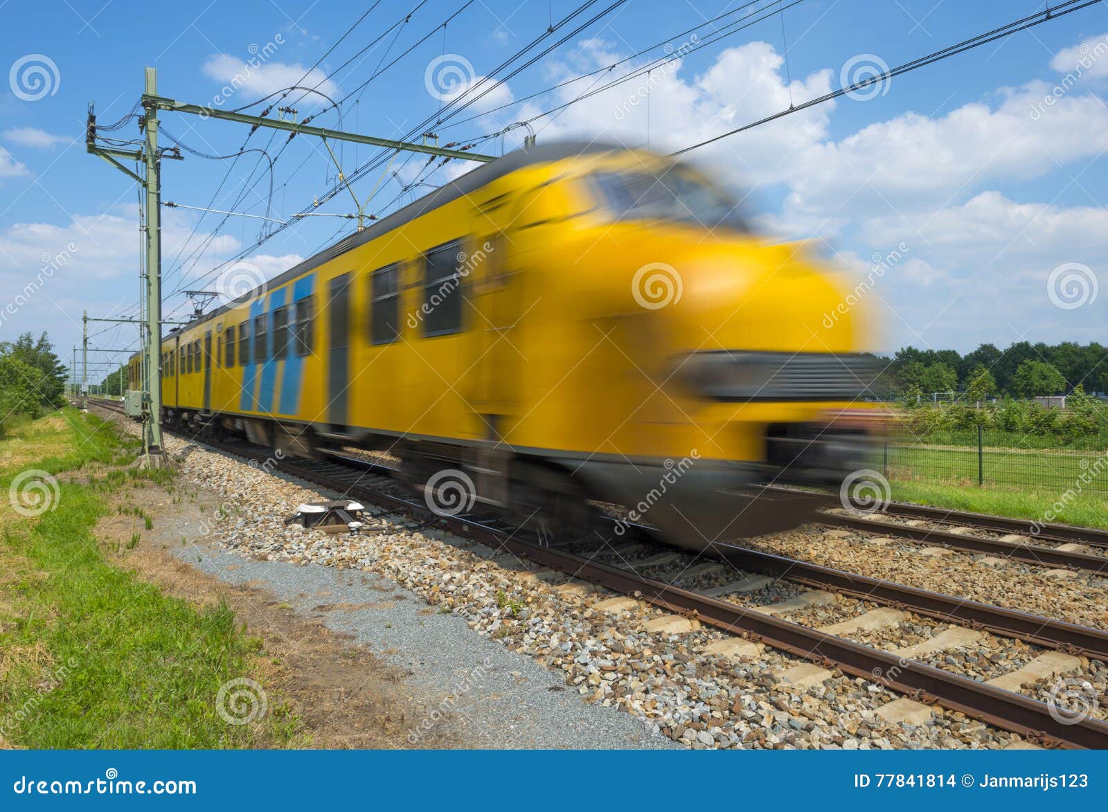 Train Riding through Nature in Sunlight Stock Photo - Image of wetland ...