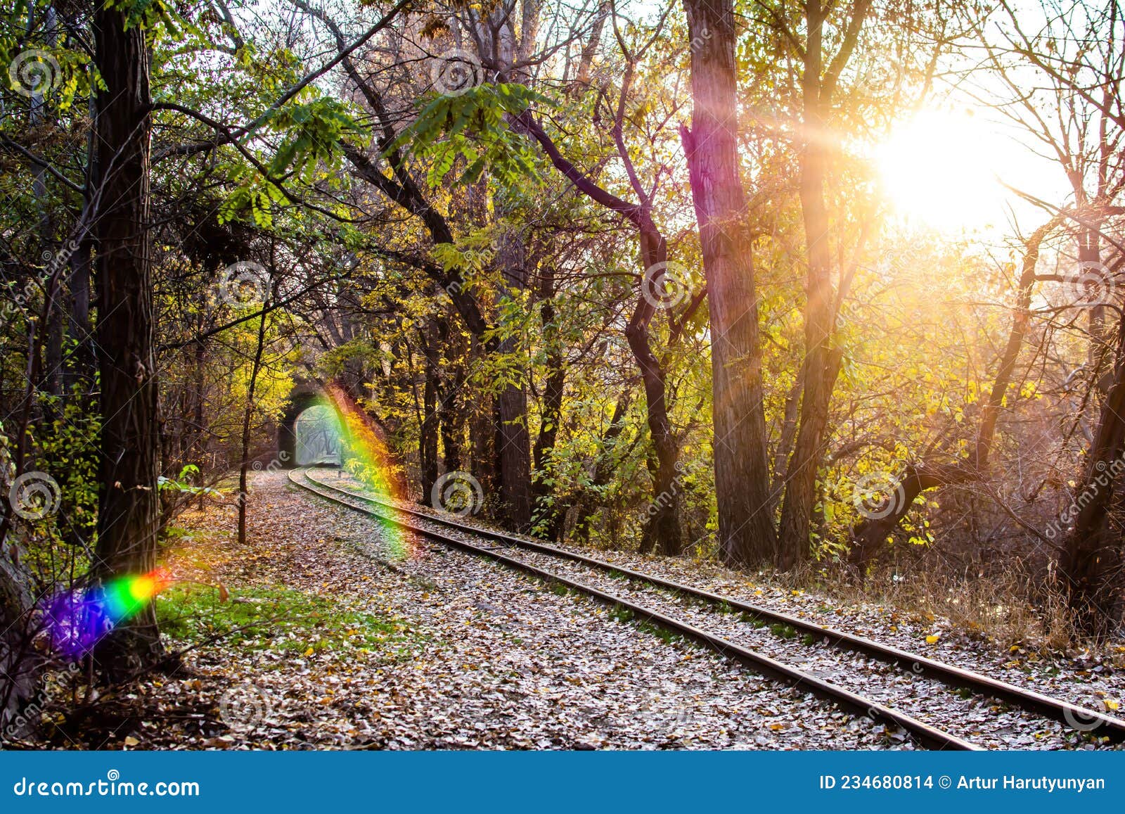 Railways Trains Pass through a Tunnel in the Forest. Railways in the ...