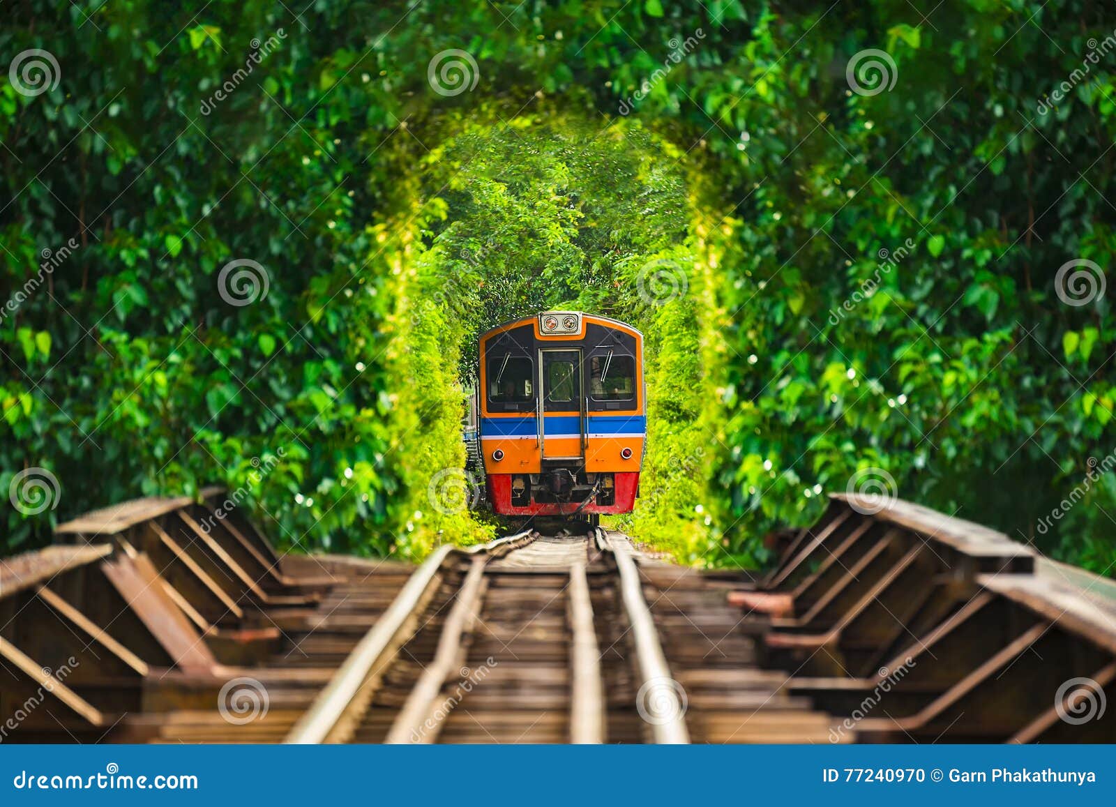Tree On Railway, Railroad, Rail Track , Abandoned, Destroyed And ...