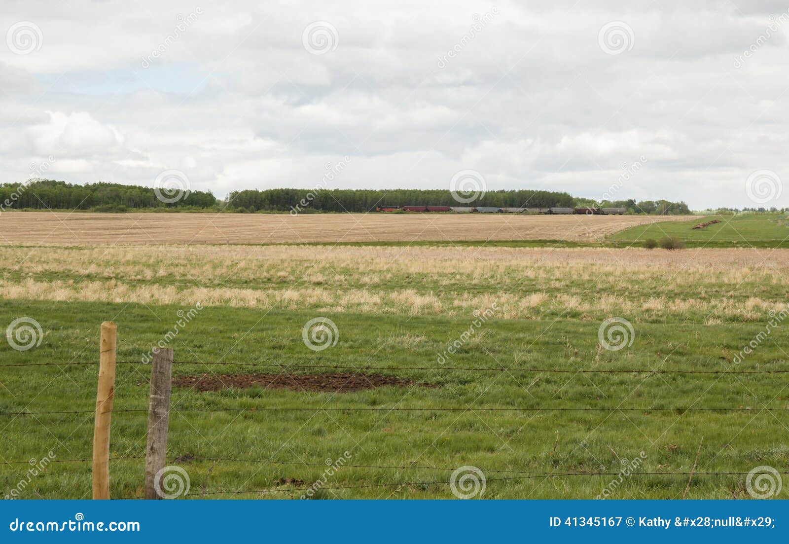 Train in Rural Farming Landscape Stock Image - Image of focus ...