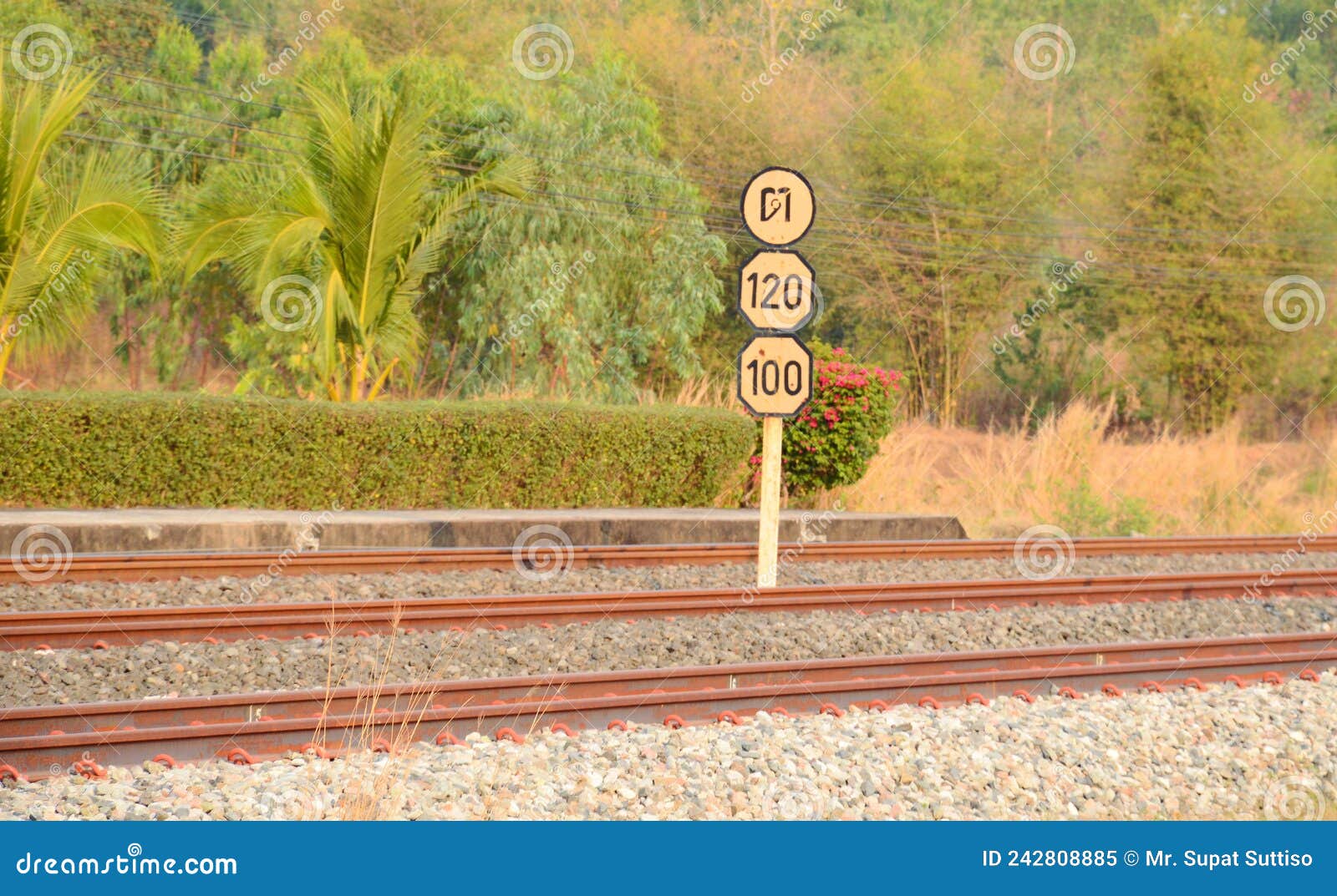 Train Signal Sign in the Morning with Bright Sunlight Stock Image ...