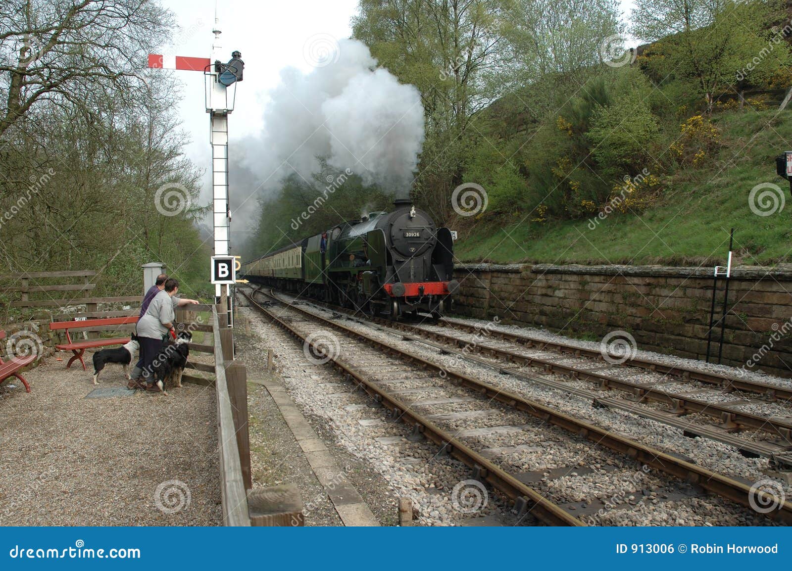 Train Spotting stock photo. Image of steam, rails, smoke - 913006