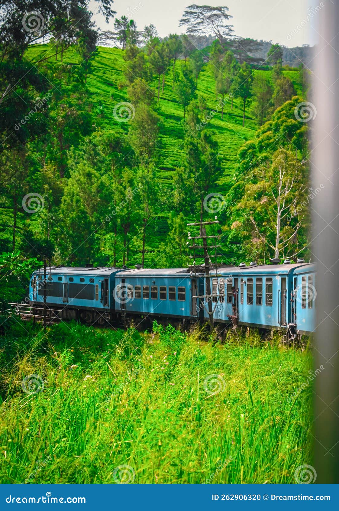 Train Srilanka Colombo To Badulla Stock Photo - Image of colombo ...
