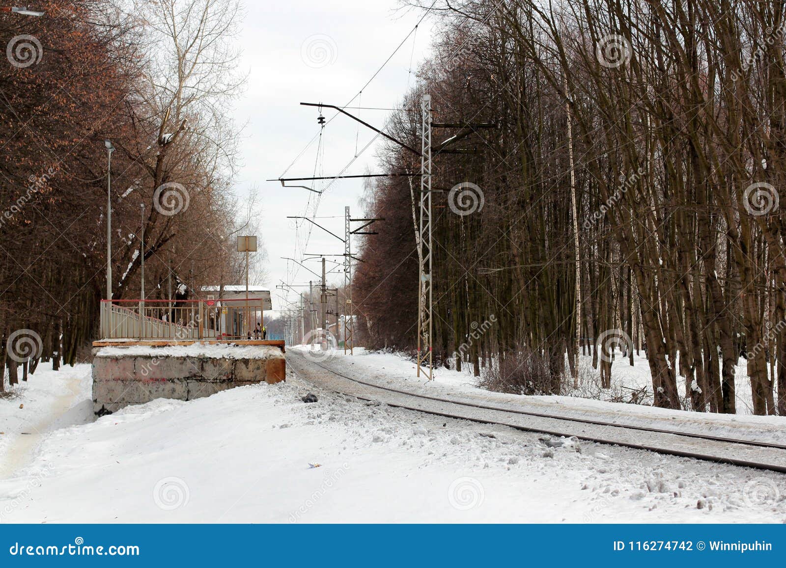 Train Station in the Forest in Winter Stock Photo - Image of light ...