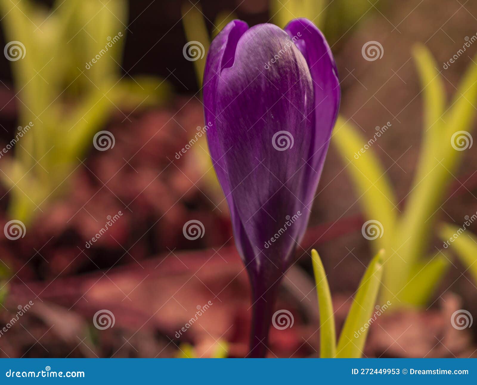 Into the Train Station Late Afternoon Time in the Spring Time Stock ...