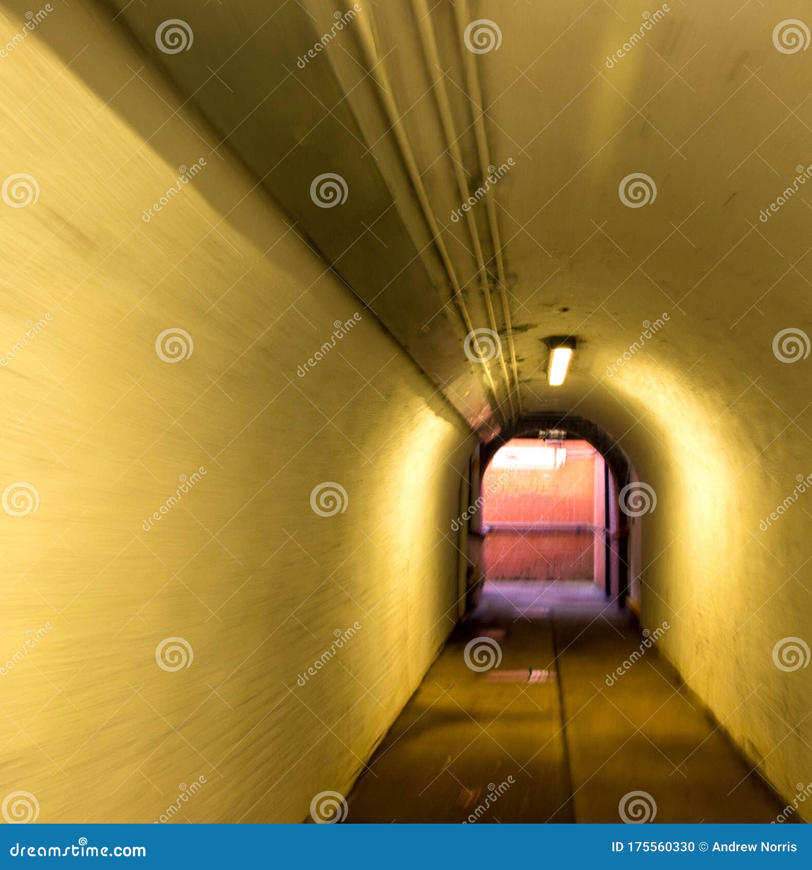 Train Station Tunnel stock photo. Image of route, station - 175560330
