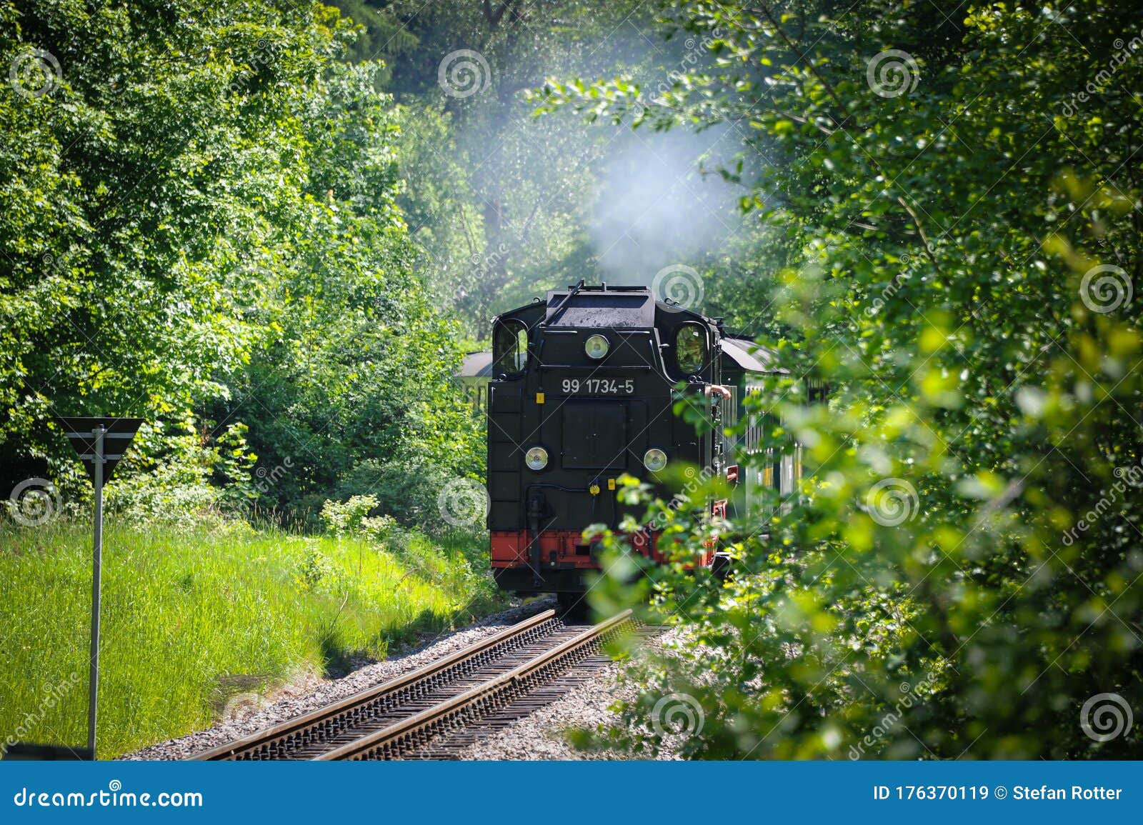 Train with a Steam Engine Going through a Forest Stock Image - Image of ...