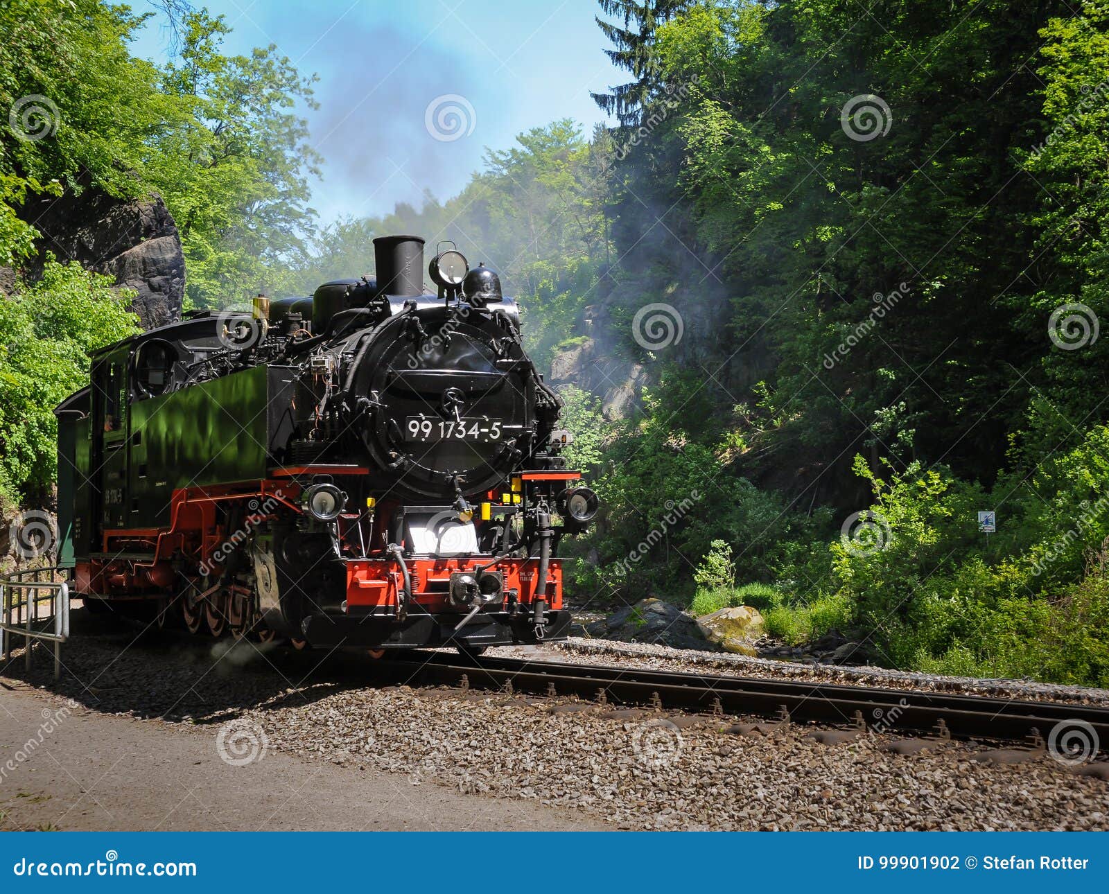 Train with a Steam Engine Going through a Forest Stock Photo - Image of ...