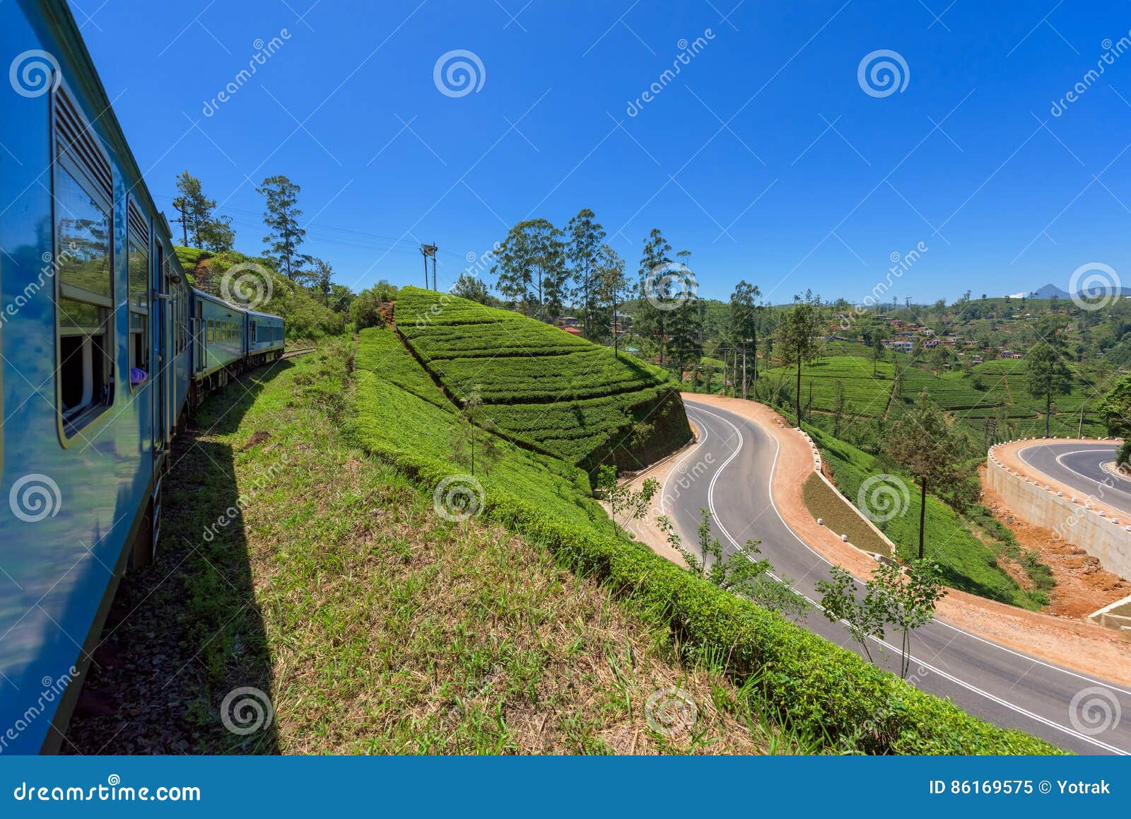 Train among Tea Plantations Stock Image - Image of tree, nature: 86169575