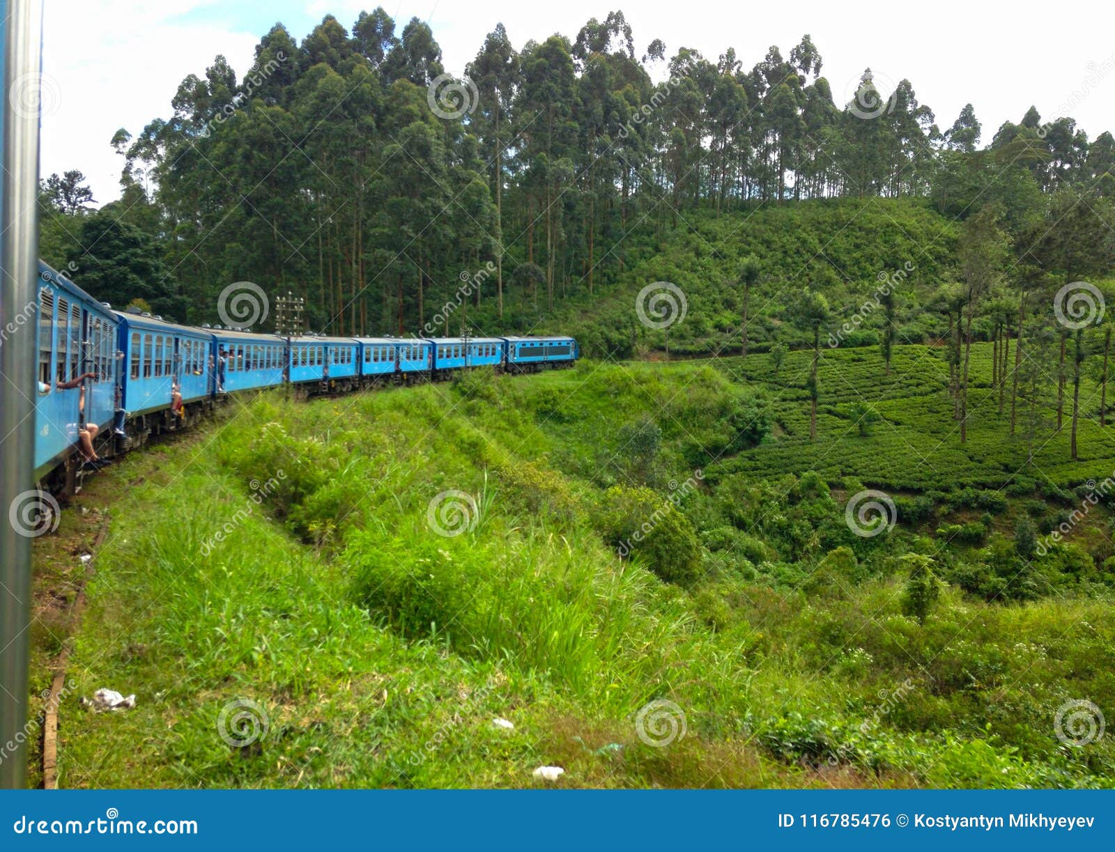 Train among the Tea Plantations Stock Photo - Image of blue, eliya ...