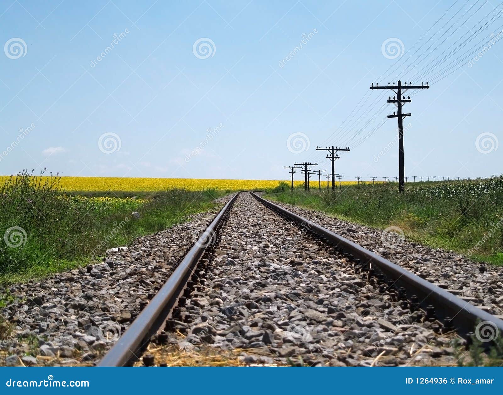 Train track stock photo. Image of yellow, rocks, telegraph - 1264936