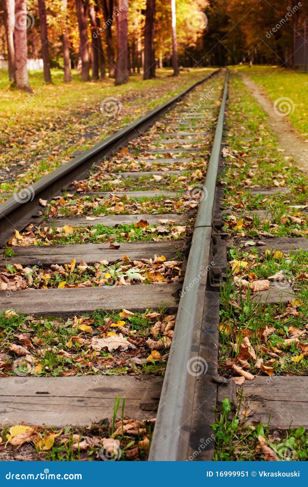 Train track stock image. Image of railroad, curve, environment - 16999951