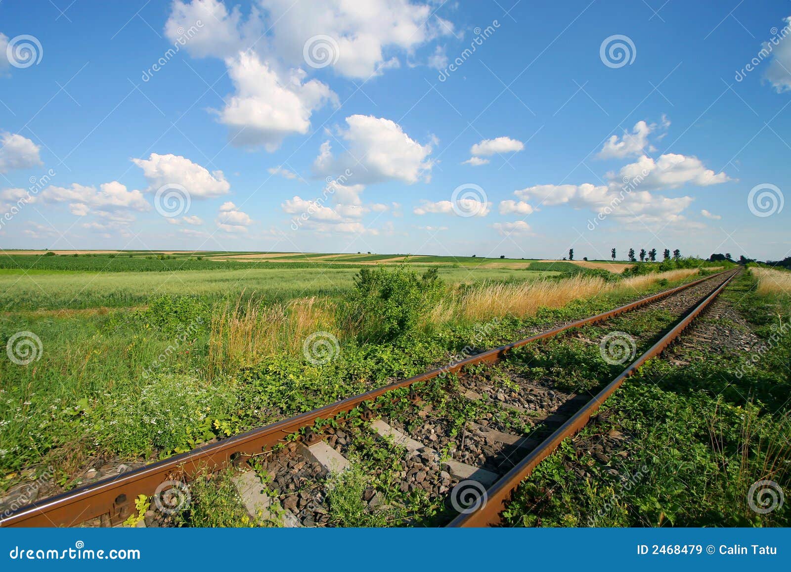 Train track stock image. Image of turism, travel, train - 2468479