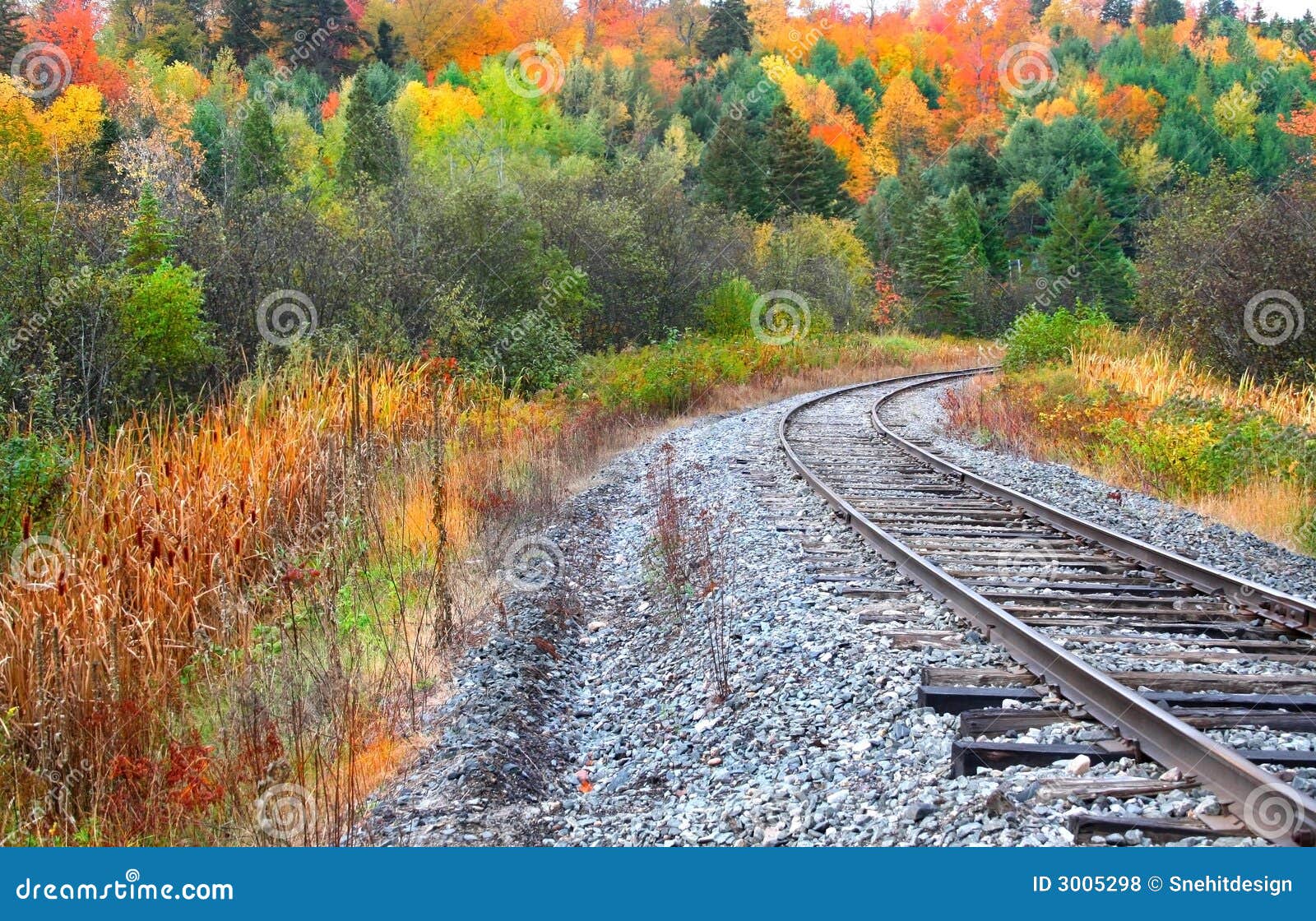 Train Track stock photo. Image of railway, view, horizon - 3005298