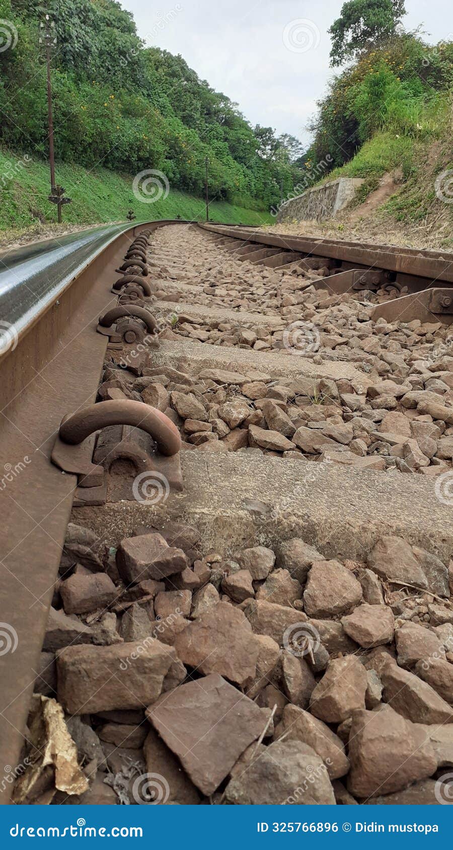 This is train track stock photo. Image of track, nature - 325766896