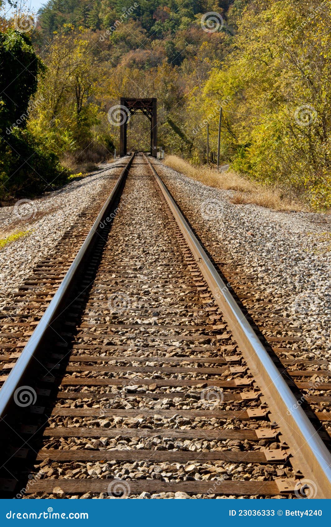 Train track with bridge stock image. Image of leaves - 23036333