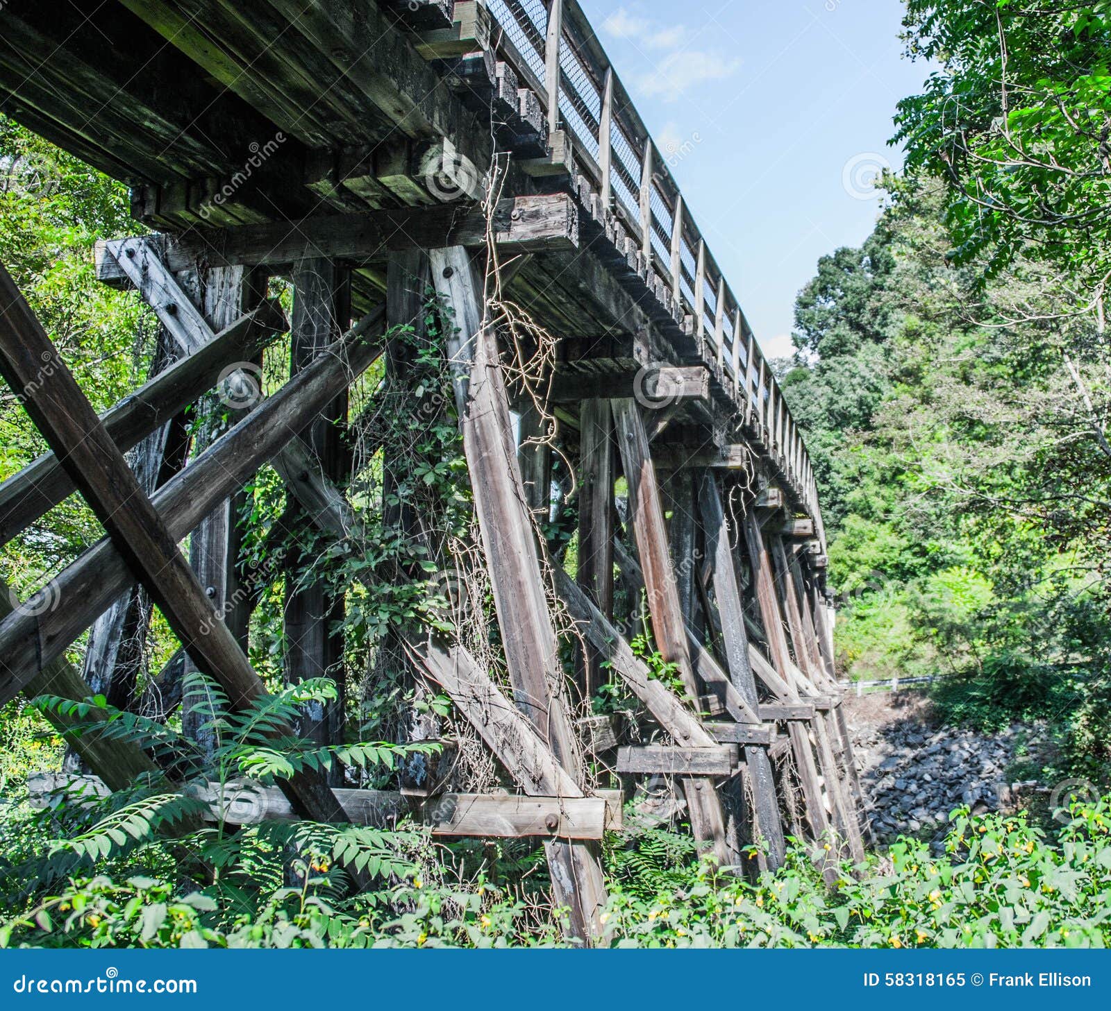 Train track bridge stock image. Image of vegetation, tree - 58318165