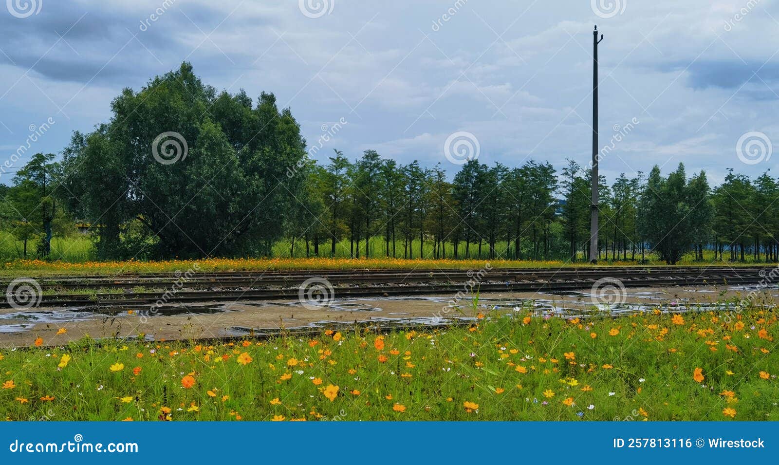 Train Track and a Canal Going through the Field Stock Photo - Image of ...