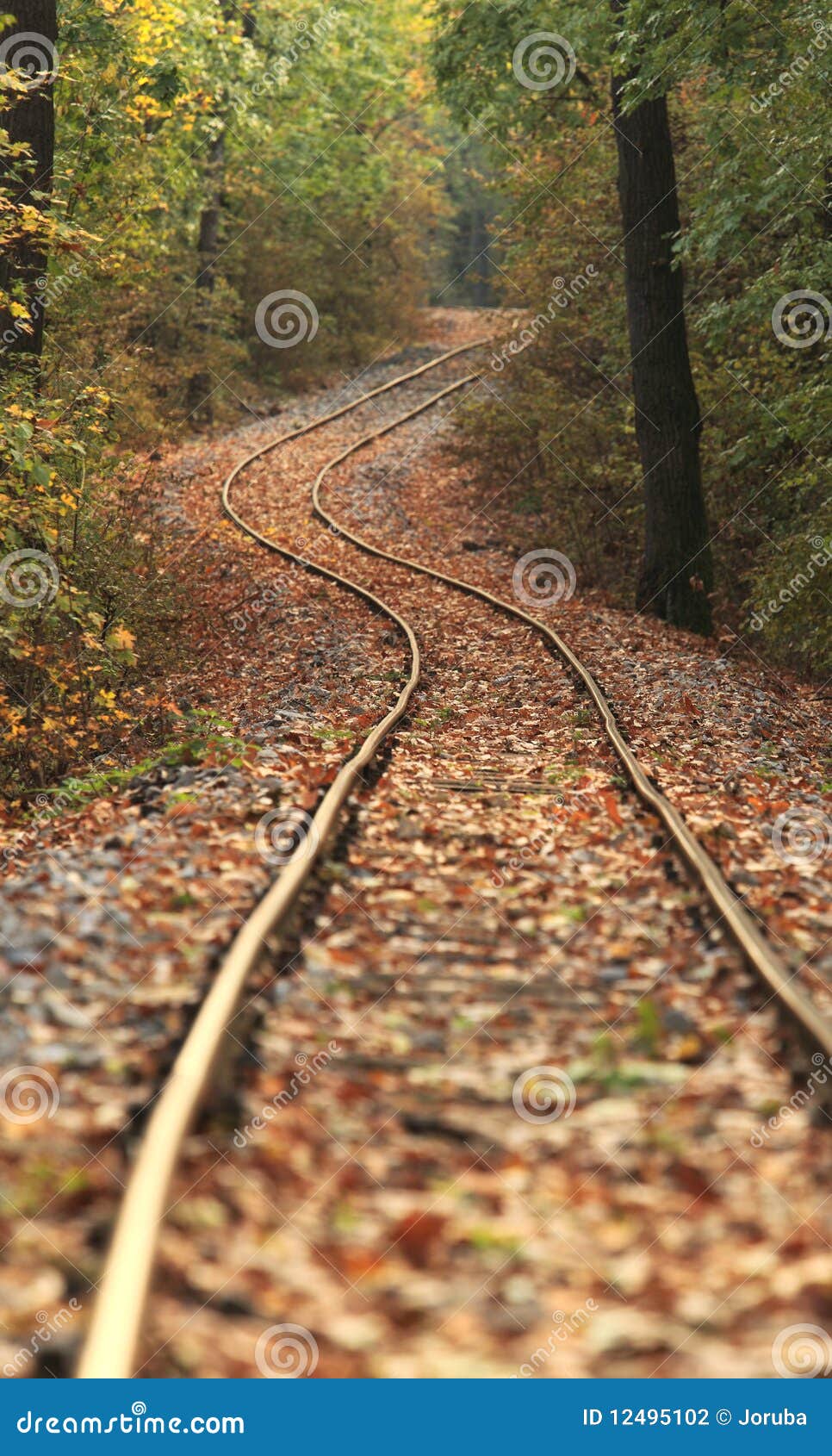 Train track in forest stock photo. Image of autumn, bend - 12495102
