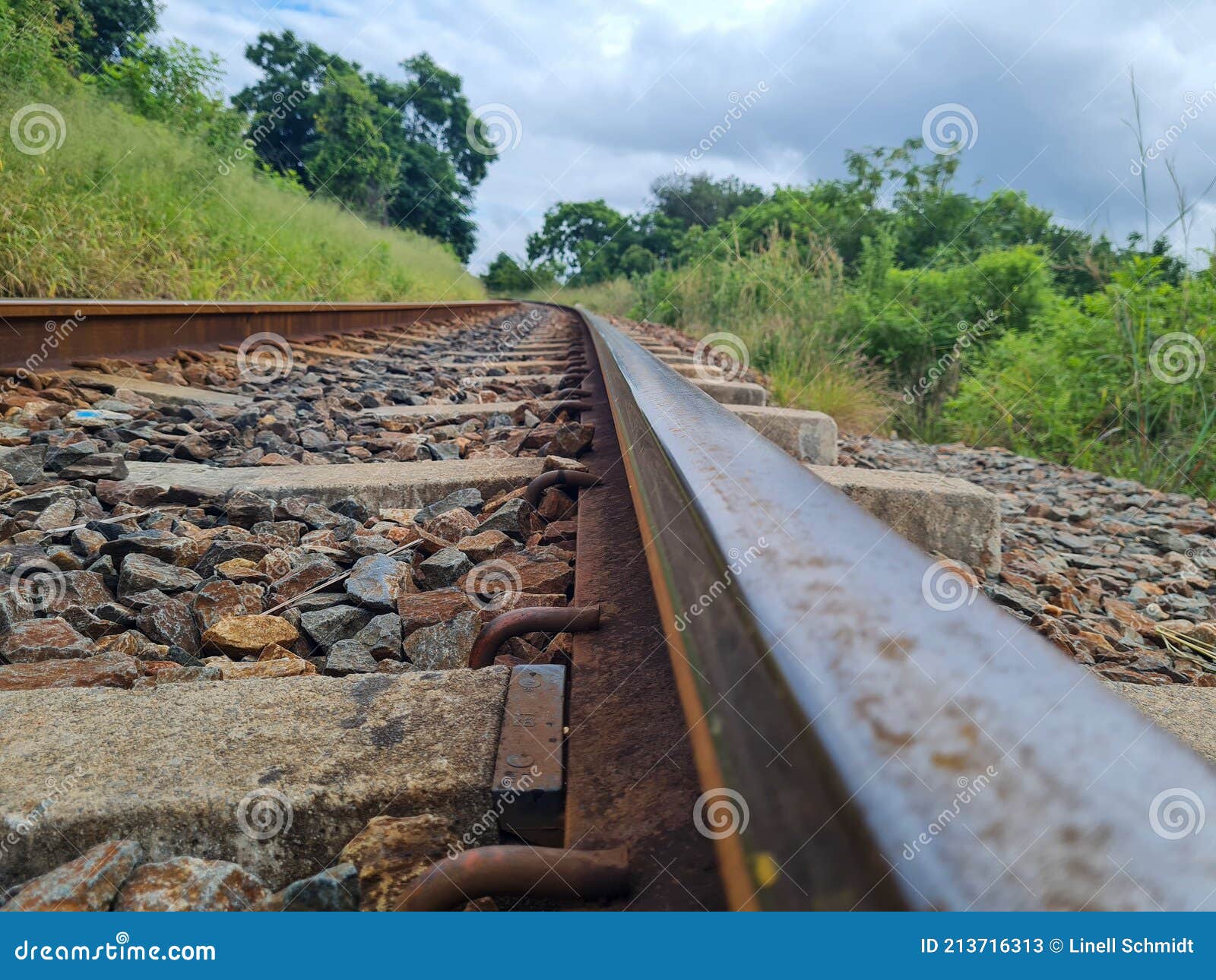 Train Track with Green Grass and Trees Stock Image - Image of railway ...
