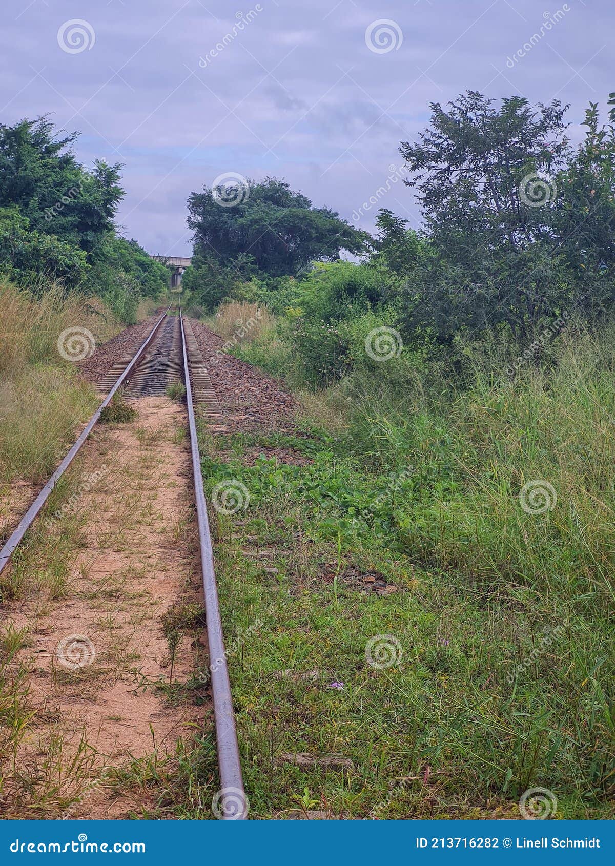Train Track with Green Grass and Trees Stock Photo - Image of train ...