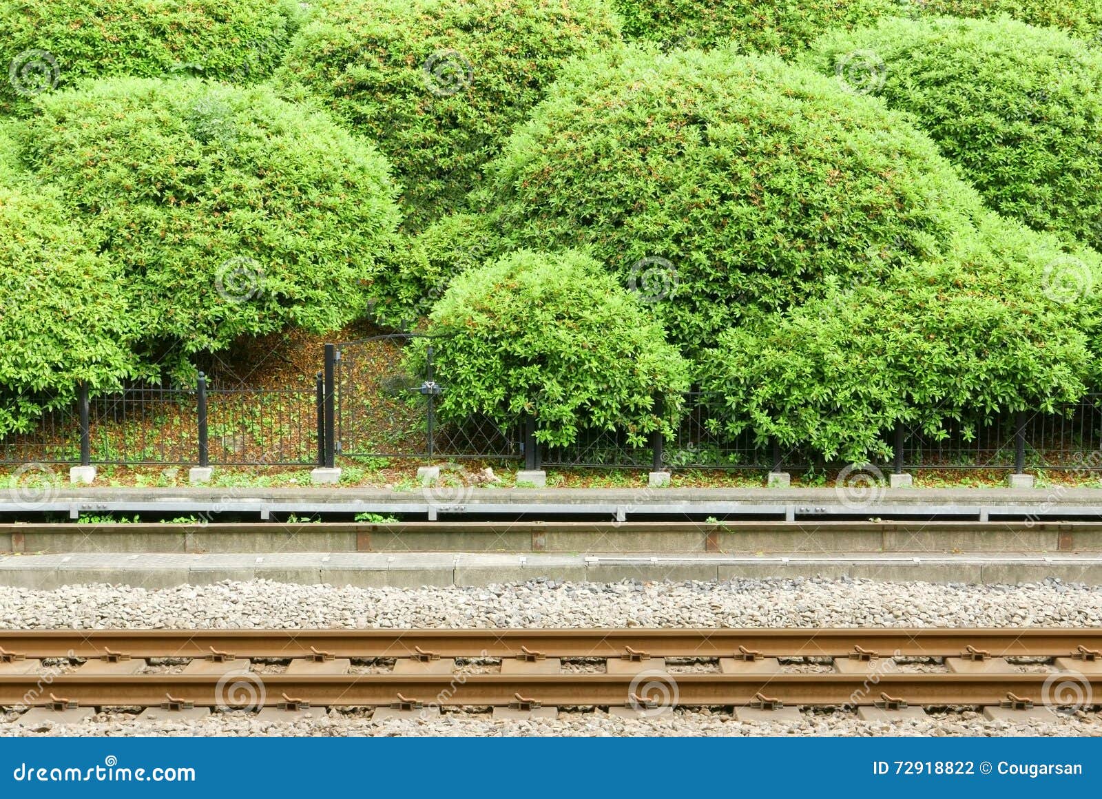 Train Track with Green Plants in Japan Station Stock Photo - Image of ...