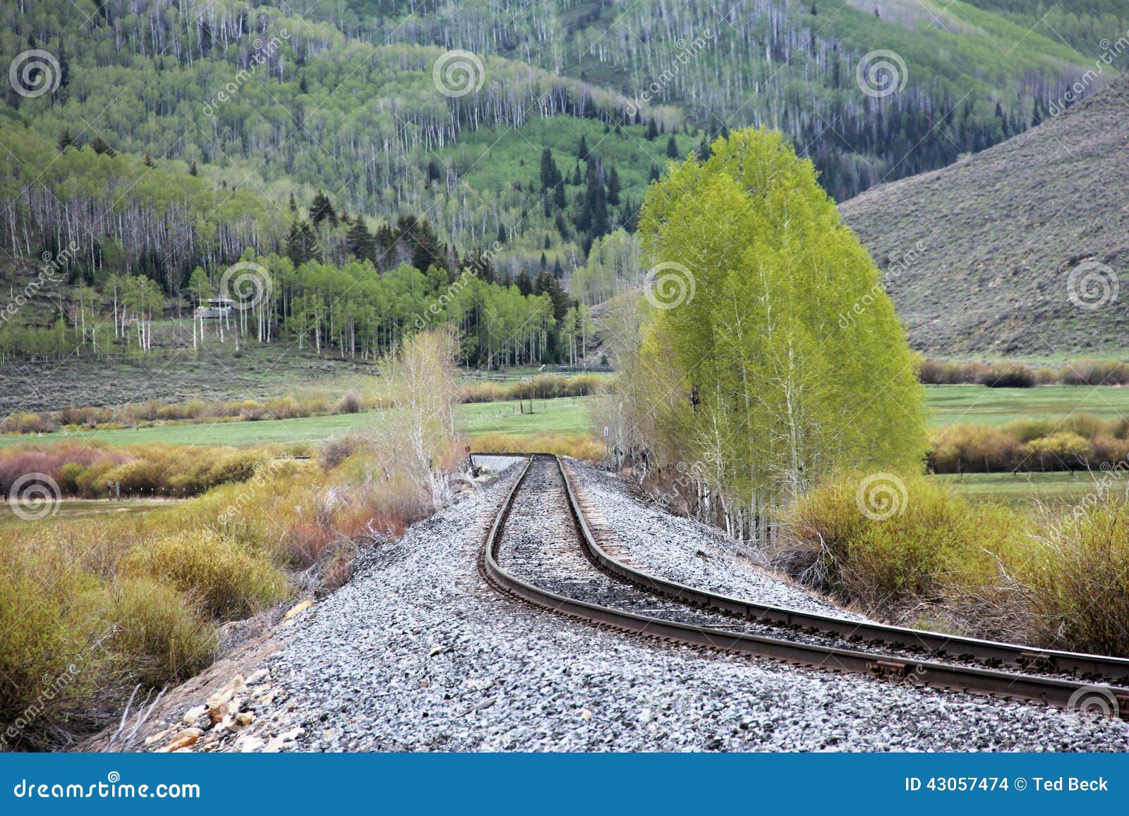Train Track through Mountain Stock Photo - Image of white, nature: 43057474