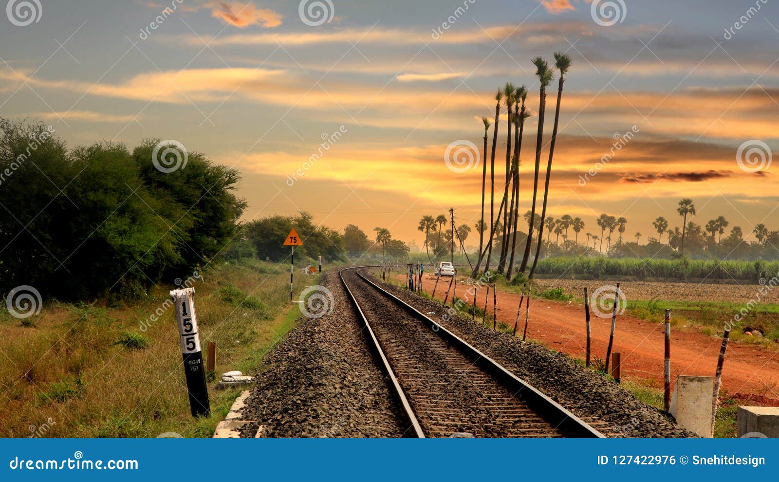 Train Track through Paddy Fields Stock Photo - Image of angle ...