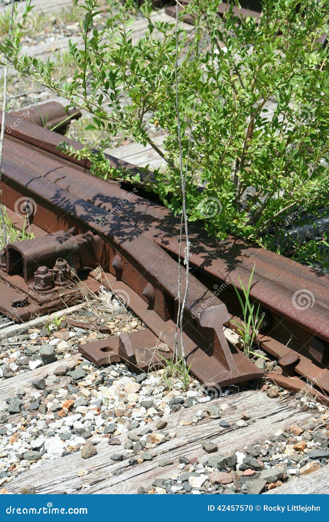 Train track siding switch stock photo. Image of abandoned - 42457570