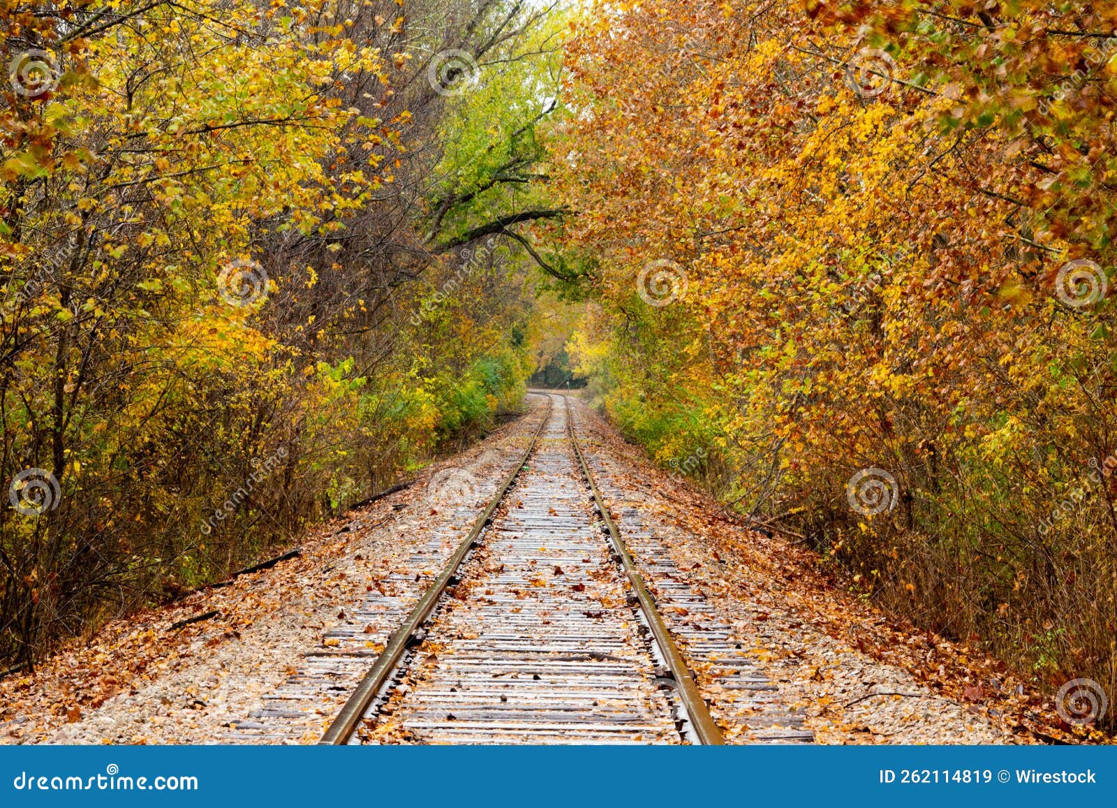 Train Track Surrounded by a Forest Filled with Beautiful Autumnal ...