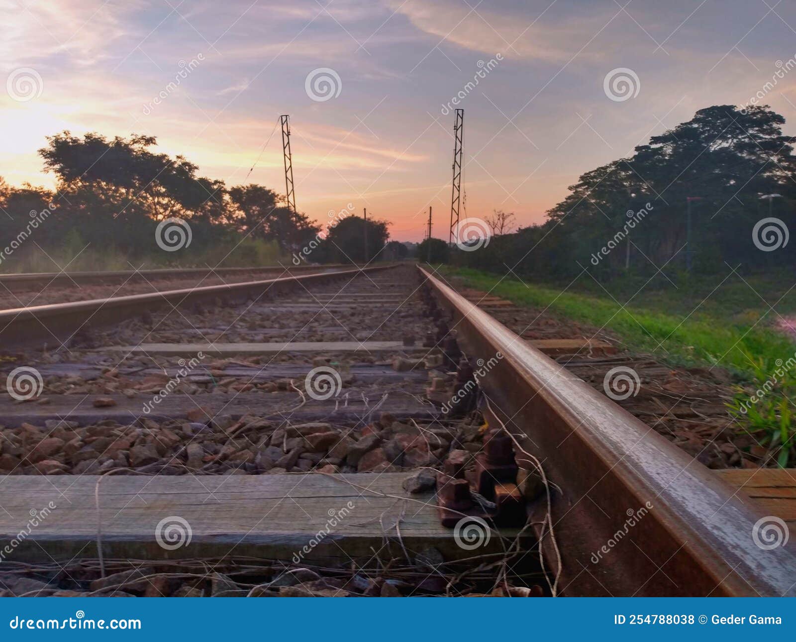 Train Track among Trees in Sunset Stock Photo - Image of transport ...
