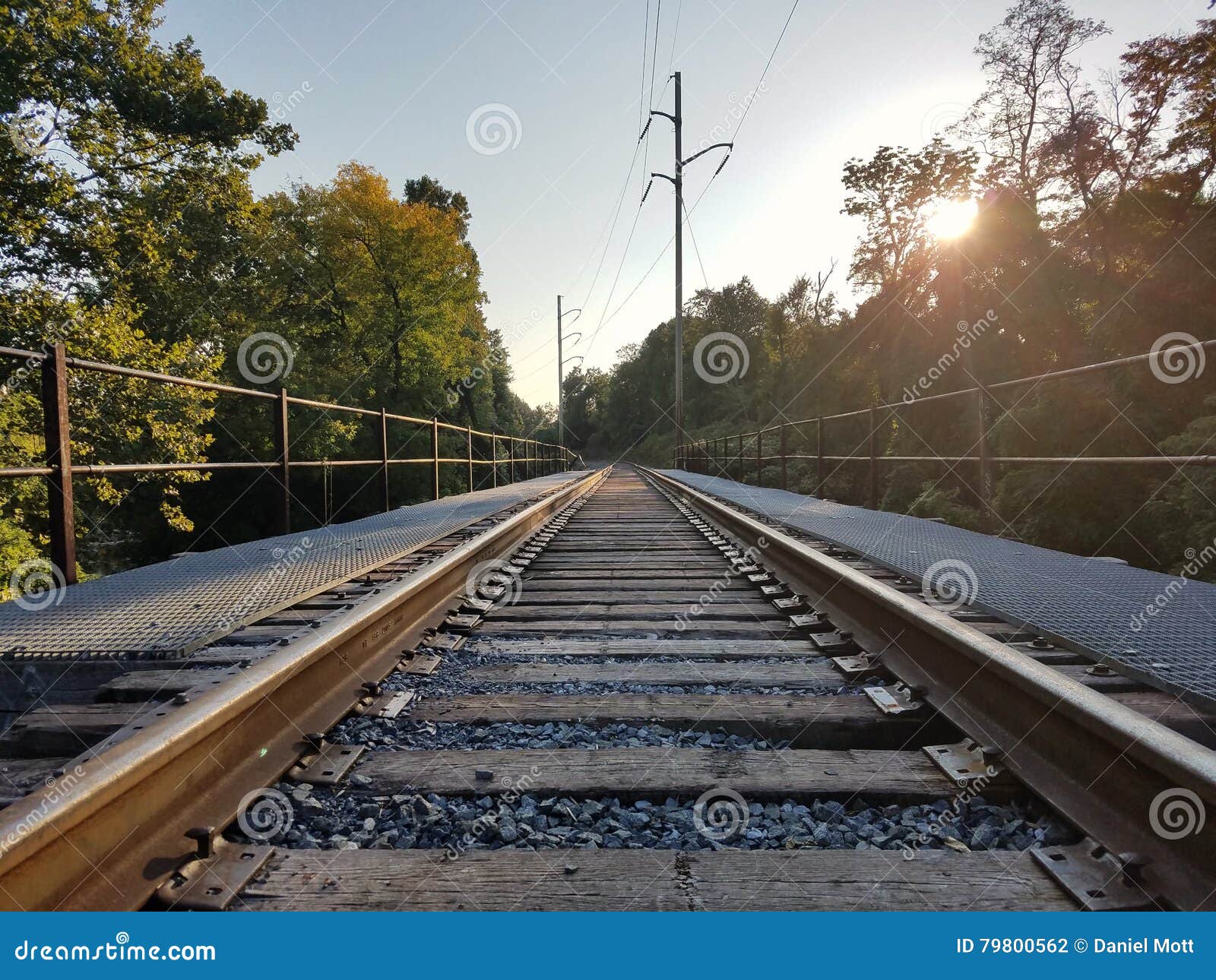 Train track trestle stock photo. Image of tracks, railroad - 79800562
