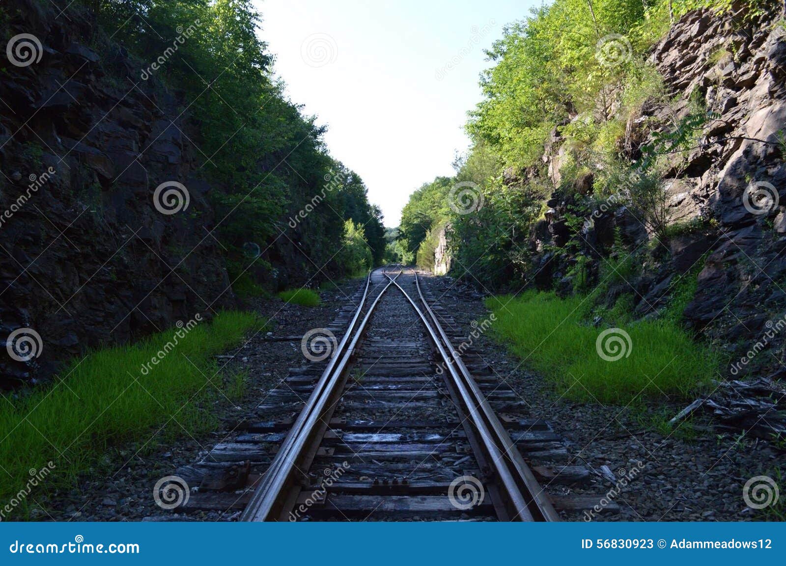Train track stock image. Image of train, tracks, track - 56830923
